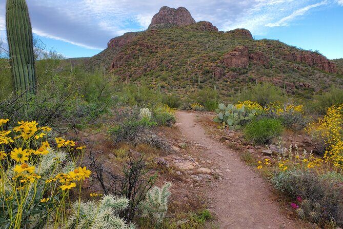 Self Guided Driving Audio Tour of Saguaro National Park - An Honest Look at the Experience