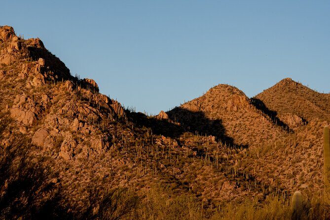 Self Guided Driving Audio Tour of Saguaro National Park - Who Should Consider This Tour?