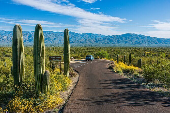 Self Guided Driving Audio Tour of Saguaro National Park - Final Thoughts