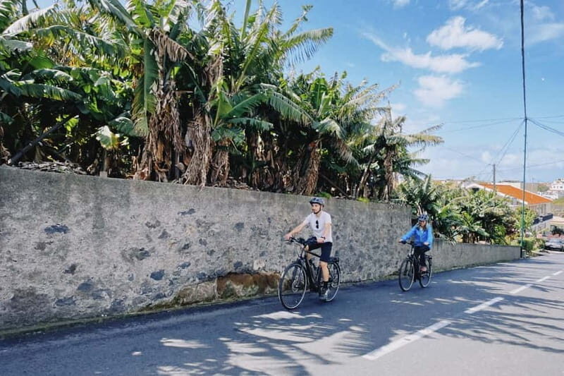 Self-Guided E-Bike Road Tour - Funchal to Câmara de Lobos - An Authentic Ride Through Madeira’s Coastal Charm: The Self-Guided E-Bike Tour from Funchal to Câmara de Lobos