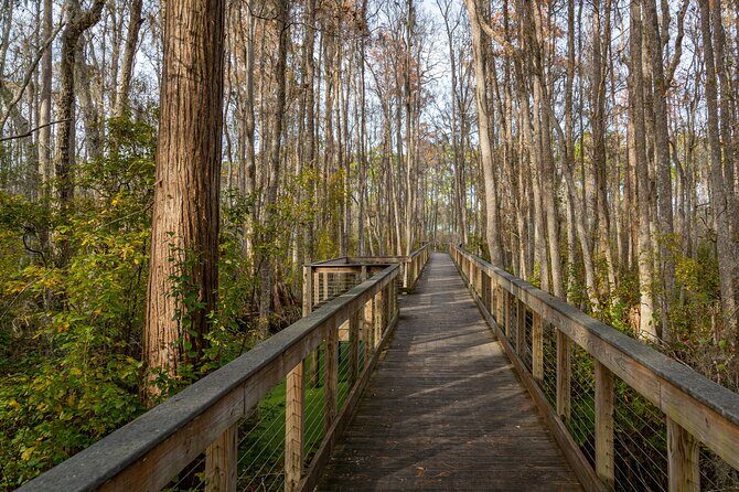Self Guided E-Bike Tour of Panama City Beach - Key Points