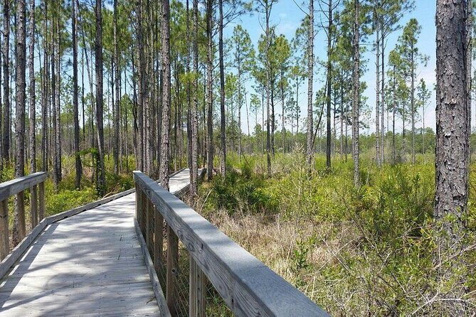 Self Guided E-Bike Tour of Panama City Beach - FAQ