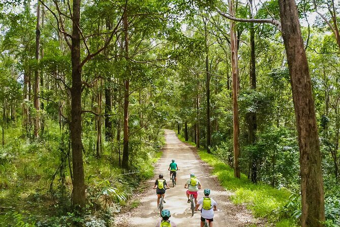 Self Guided E Bike Tour - Unicorn Falls, Rainforest & Rail Trail - Introduction