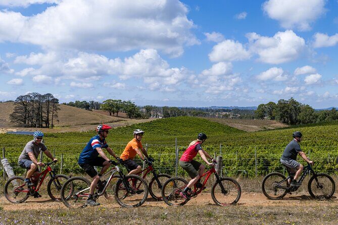 Self Guided Ebike Winery Tour in the Adelaide Hills - Key Points