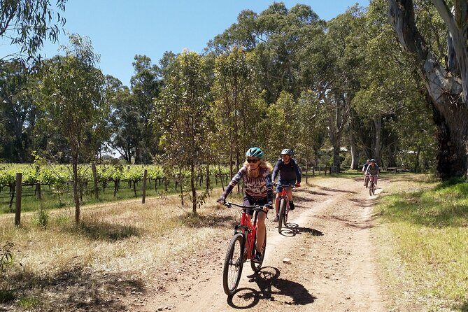Self Guided Ebike Winery Tour in the Adelaide Hills - Who Will Enjoy This Tour?