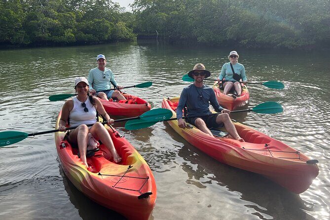 Self Guided EcoTour: Clear/Standard Kayaks -Bonita Springs - An Introduction to the Experience