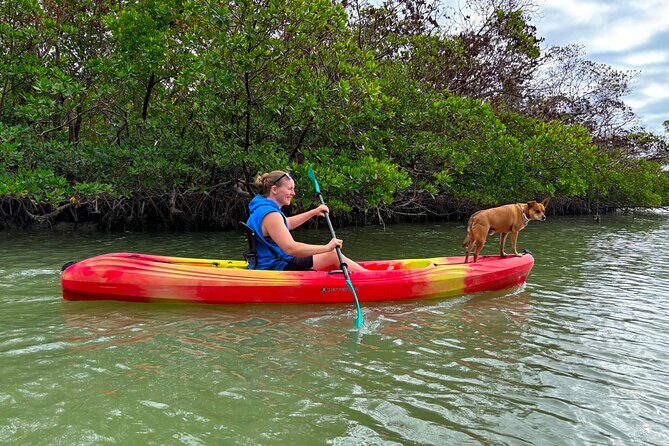 Self Guided EcoTour: Clear/Standard Kayaks -Bonita Springs - How the Reviews Reflect the Experience