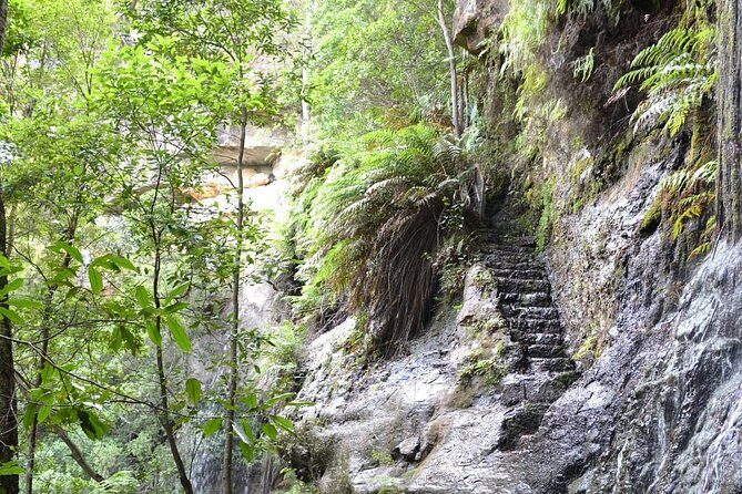 Self Guided Electric Bicycle Tour of Bundanoon - Authentic Experiences and Reviews