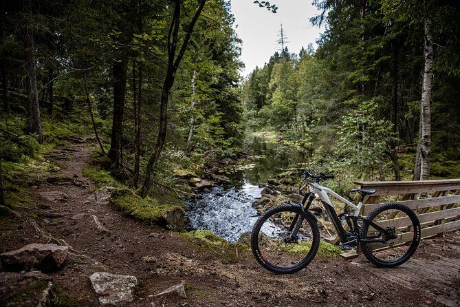 Self Guided Electric Mountain Bike Ride on Trails in Oslo - The Ride Through Oslo’s Forests: A Detailed Breakdown