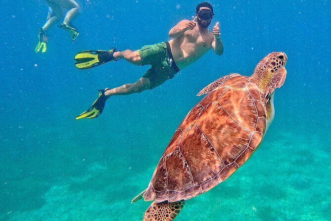 Self Guided Experience of Culebra with Transfer from San Juan - Exploring the Details of the Self-Guided Culebra Trip