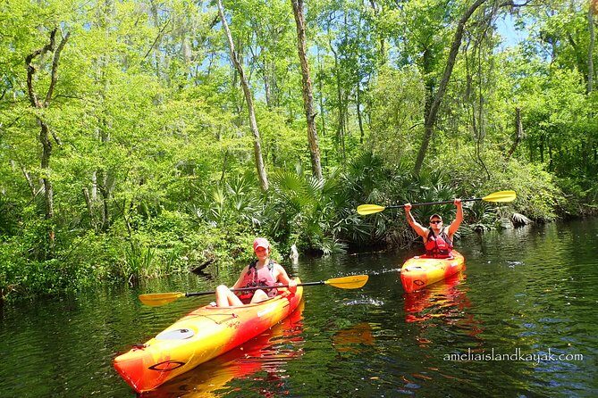 Self Guided Family Friendly Kayak Rental Experience Old Florida - Exploring Old Florida by Kayak: A Practical Review of a Family-Friendly Adventure