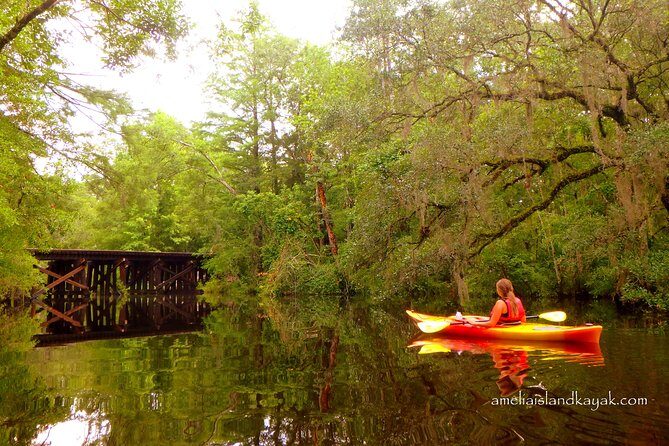 Self Guided Family Friendly Kayak Rental Experience Old Florida - Key Points