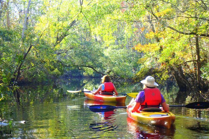 Self Guided Family Friendly Kayak Rental Experience Old Florida - Final Thoughts: Is It Worth It?
