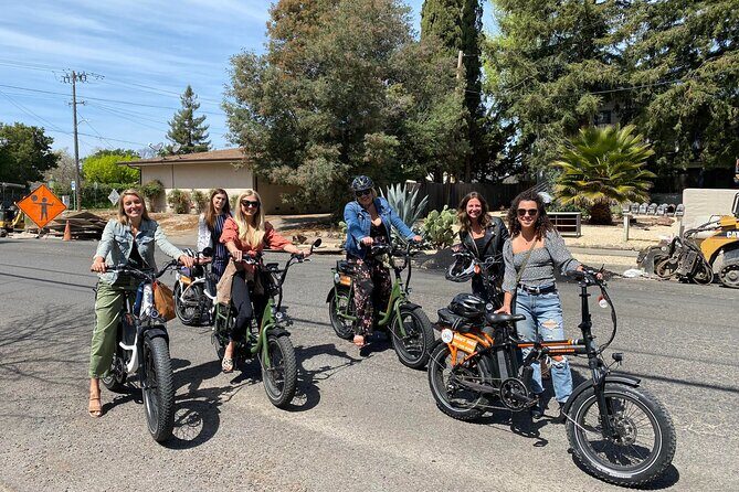 Self Guided Full Day E-bike Rental With Picnic Lunch - Who This Tour Is Best For