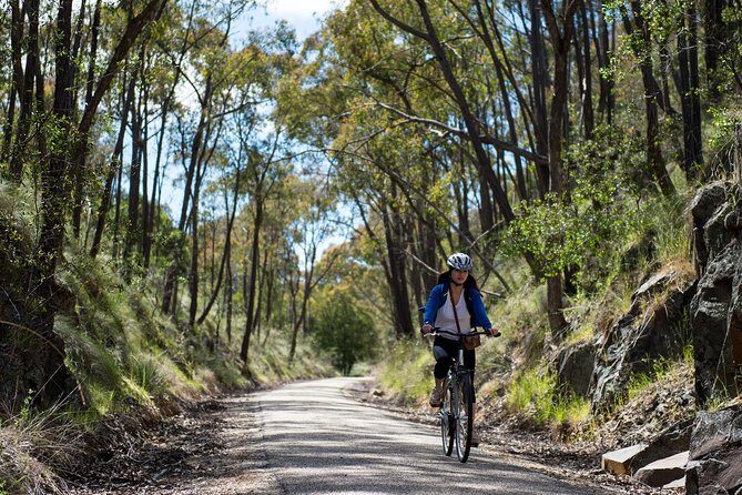 Self-Guided Gourmet Culinary Cycling Day Tour From Beechworth - A Closer Look at the Experience