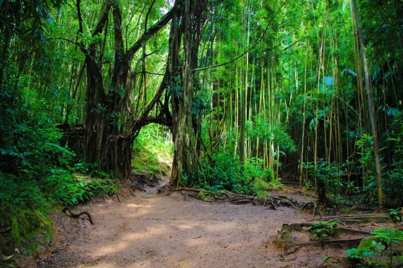 Self Guided Hike Trail to Nature Walk & Waterfall - Who Will Appreciate This Tour?