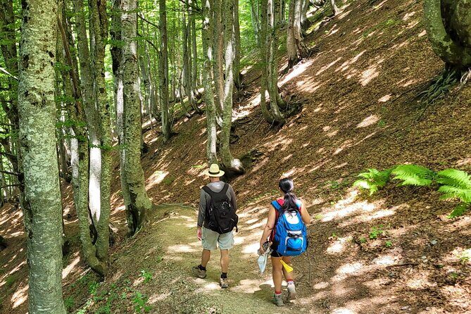 Self-Guided Hiking Tour: Theth, Valbona & Koman Lake in 3 Days - Key Points