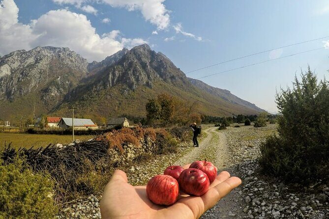 Self-Guided Hiking Tour: Theth, Valbona & Koman Lake in 5 days - Day 5: Koman Lake and Return Home