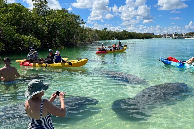 Self-Guided Island Tour: CLEAR/Standard Kayak, SUP-Bonita Springs - Introduction