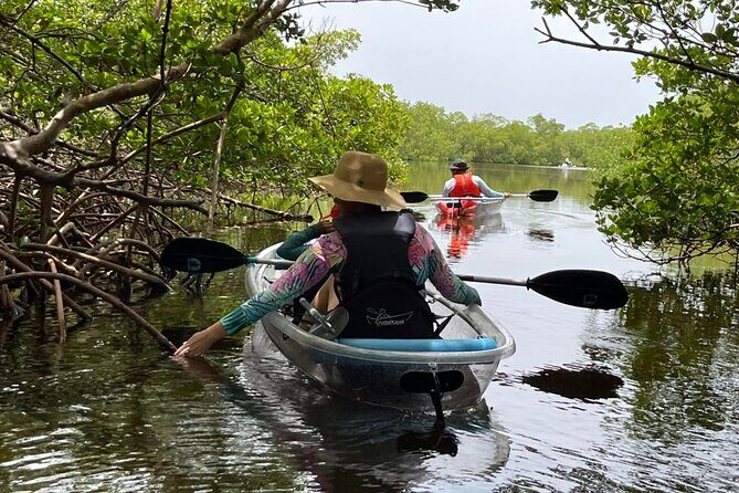 Self-Guided Island Tour: CLEAR/Standard Kayak, SUP-Bonita Springs - Overview of the Experience