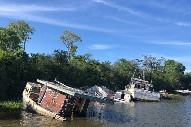 Self Guided Kayak Bayou Swamp Tour - The Itinerary in Detail