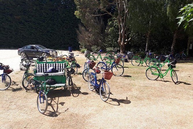 Self Guided Martinborough Wineries Bike Tour - The Ideal Traveler for This Bike Tour