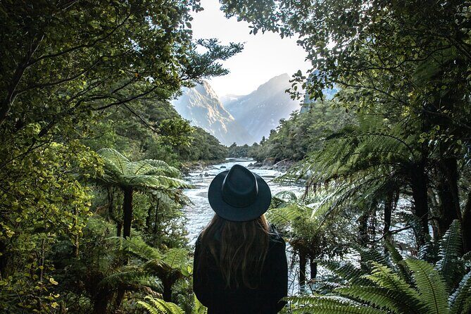Self-Guided Milford Track Day Walk - Milford Sound - FAQs
