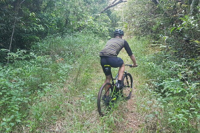 Self-Guided Mountain Bike Tours in Port Douglas - What You Can Expect Along the Way