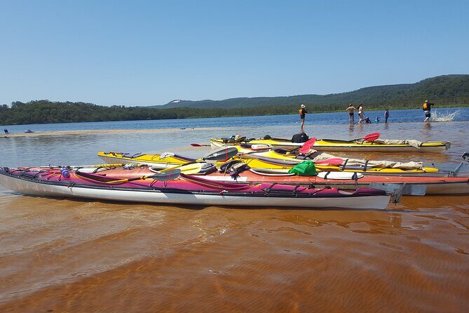 Self-Guided Noosa Everglades Kayak Tour - Introduction: Why Choose the Self-Guided Noosa Everglades Kayak Tour?