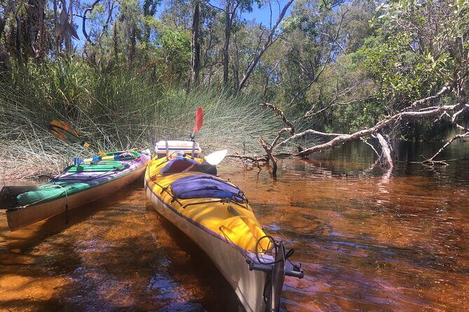 Self-Guided Noosa Everglades Kayak Tour - Weather and Safety: Tips for a Smooth Trip