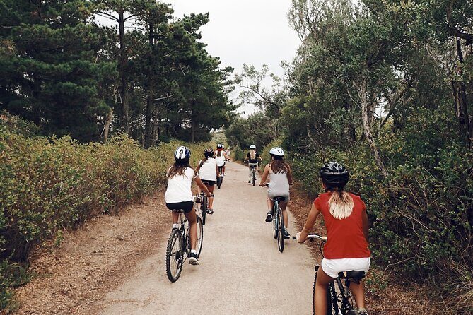 Self-Guided Point Nepean National Park Bike Hire - Who Will Love This Experience?