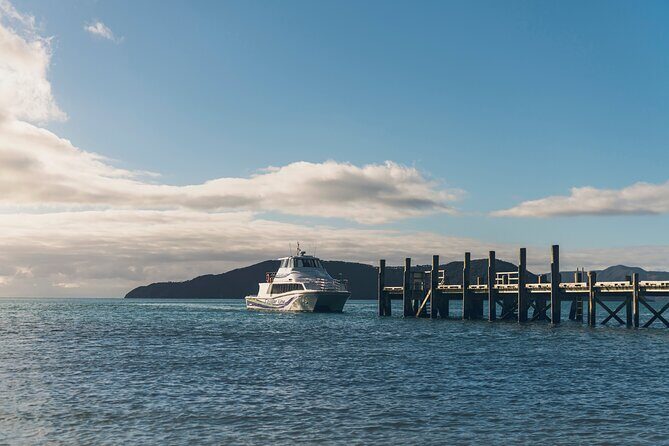 Self-Guided Queen Charlotte Track Walk from Picton - FAQ: Your Practical Questions Answered