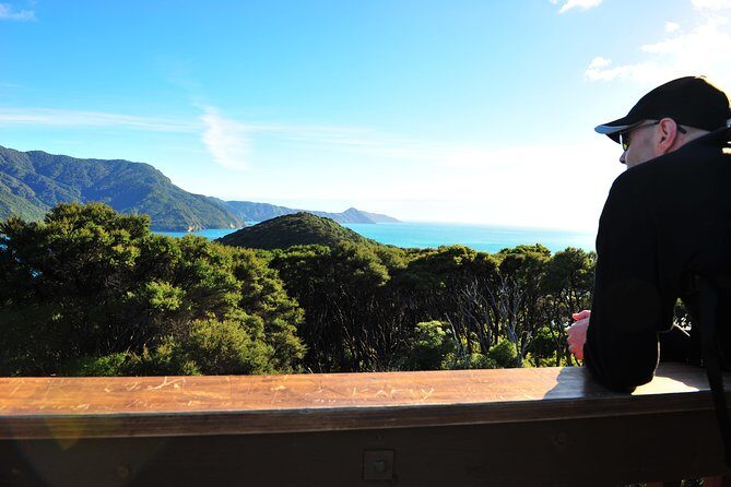 Self-Guided Queen Charlotte Track Walk from Picton - Final Summary