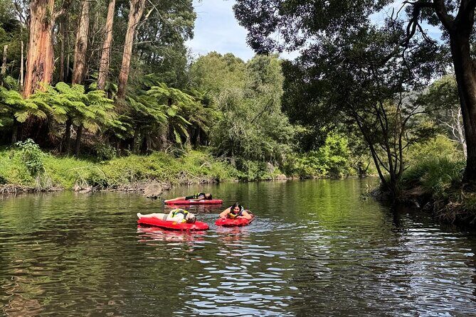 Self-Guided River Sledding Adventure on the Yarra River - Final Thoughts: Is It Worth It?