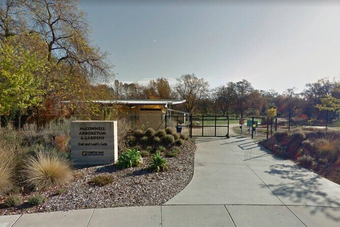 Self-Guided Scavenger Hunt: A Green Day by Reddings River - Exploring Redding Through a Self-Guided Lens