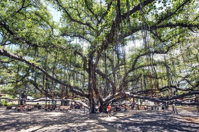 Self-Guided Scavenger Hunt: Lahaina Over The Rainbow - Exploring Lahaina with a Modern Twist