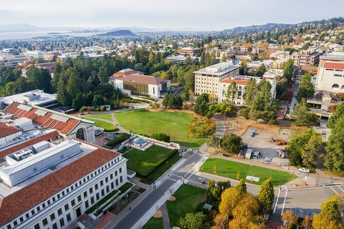 Self Guided Scavenger Hunt San Diego Arts and Museums - The Basics of the Experience