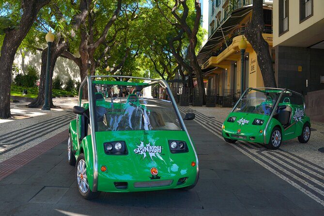 Self-Guided Sightseeing Tour on an Eletric Car | Funchal - FAQ