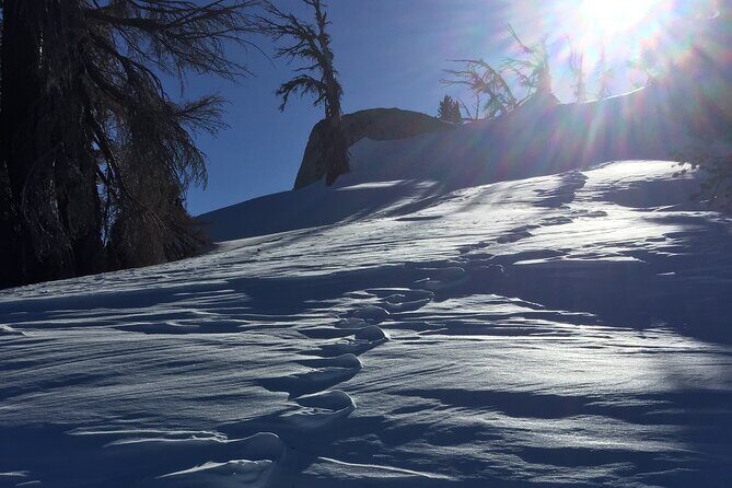 Self Guided Snowshoe Experience at Lake Tahoe - The Sum Up
