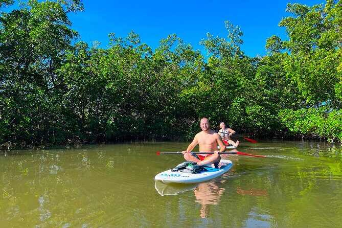 Self Guided Standup Paddle Board EcoTour -Bonita Springs - Discover Big Hickory Island on a Self-Guided Paddleboard EcoTour in Bonita Springs