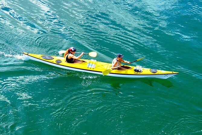 Self-Guided Sydney Middle Harbour Kayak 3 Hour Tour by Double Kayak - Starting Point and Logistics