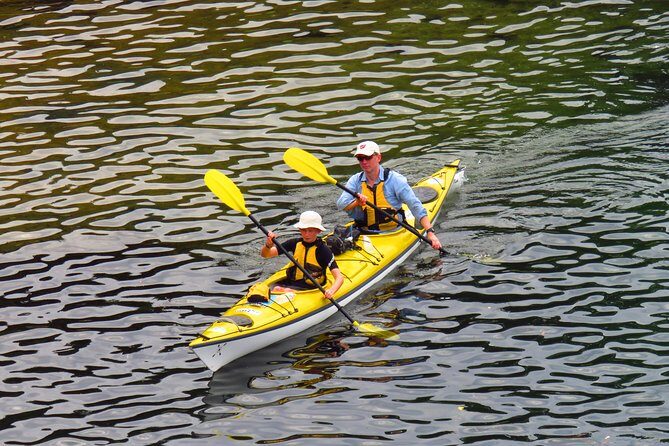 Self-Guided Sydney Middle Harbour Kayak 3 Hour Tour by Double Kayak - What to Expect on the Water