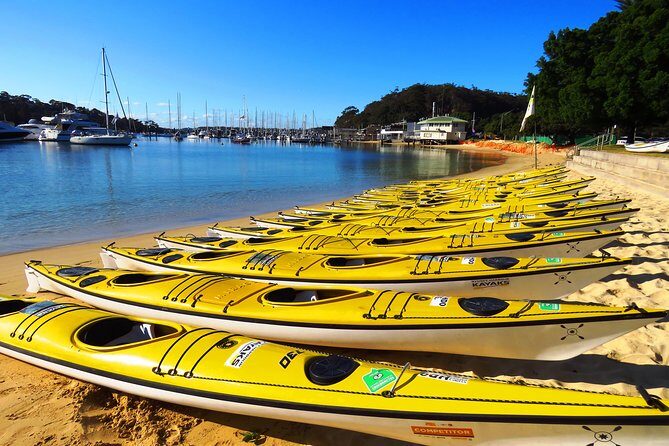 Self-Guided Sydney Middle Harbour Kayak 3 Hour Tour by Double Kayak - Who Will Love This Tour?