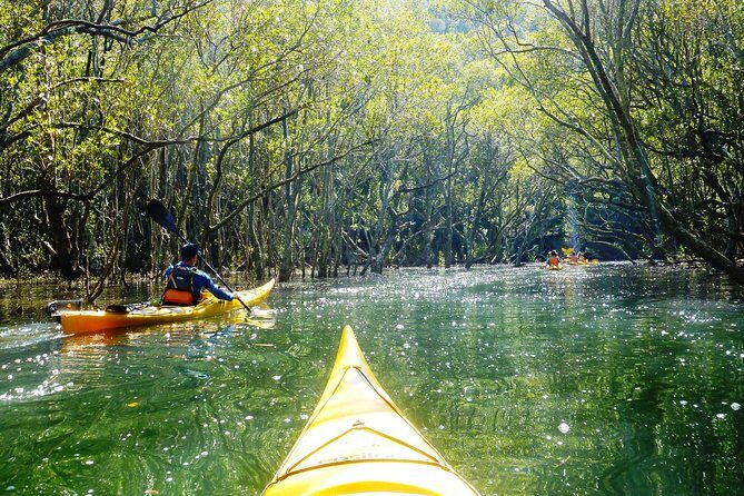 Self-Guided Sydney Middle Harbour Kayak 3 Hour Tour by Double Kayak - The Experience in Practice