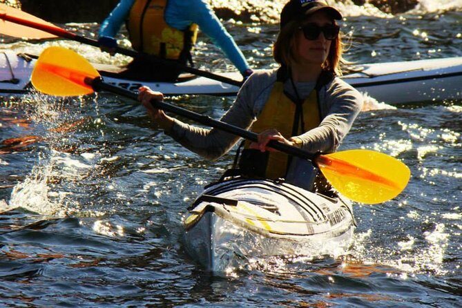 Self-Guided Sydney Middle Harbour Kayak 3 Hour Tour by Single Kayak - Setting Out: What to Expect on Your Kayaking Adventure