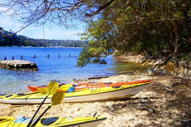 Self-Guided Sydney Middle Harbour Kayak 3 Hour Tour by Single Kayak - The Itinerary in Detail: What Makes Each Stop Special