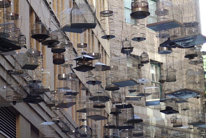 Self-Guided Sydney Scavenger Hunt: Inside Sydney - What to Expect from the Sydney Scavenger Hunt