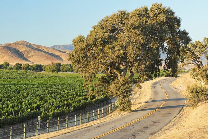 Self Guided Tour of Solvang and Santa Ynez Wine Country - Final Thoughts: Is It Worth It?