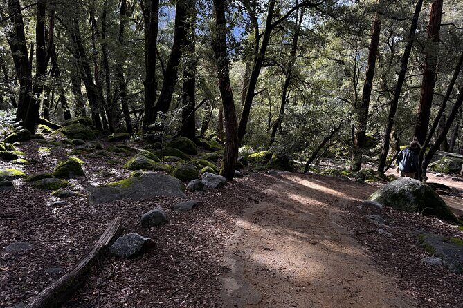Self Guided Yosemite Walking Tour Explore with Expert Audio Guide - Practical Details and Logistics