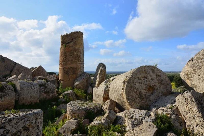 Selinunte: Archeological Park Entry Ticket & App Audioguide - Cost-Value Analysis